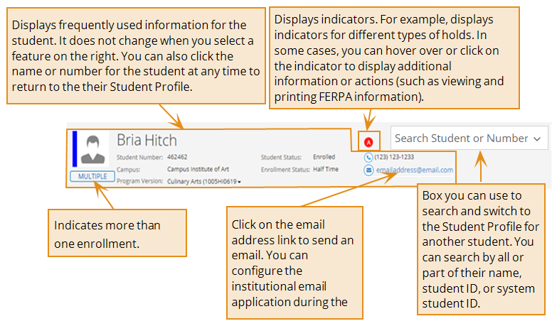 Access and Review a Student Profile