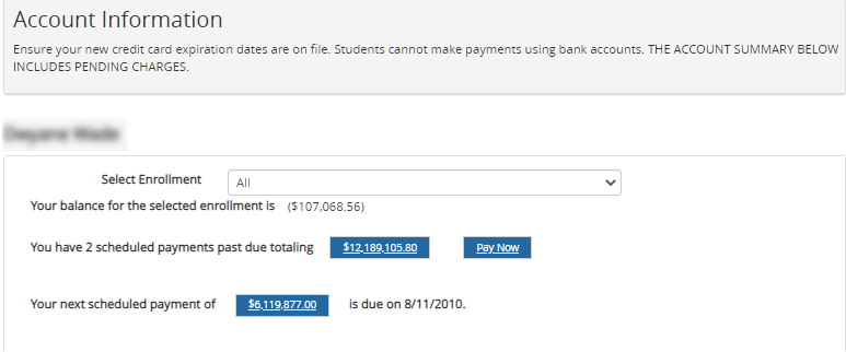 Make Payment Online