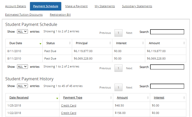 Make Payment Online