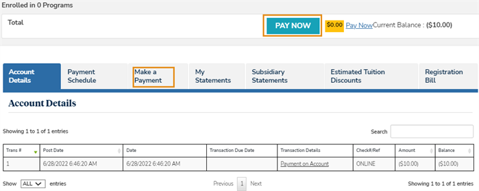Make Payment Online